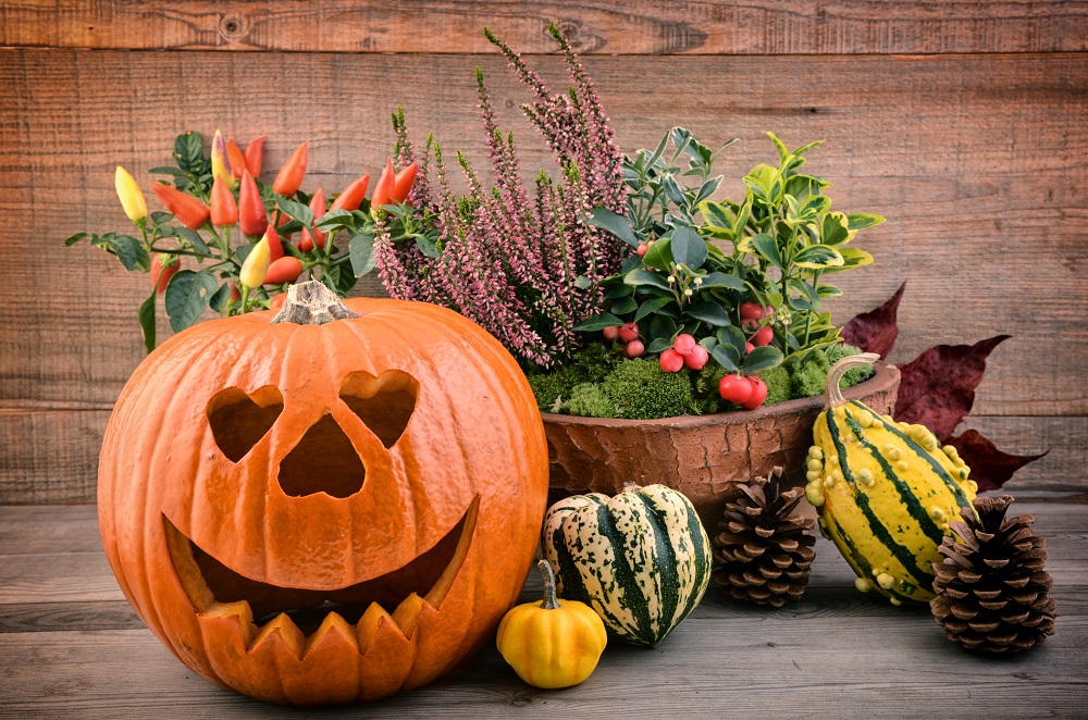 Halloween dýně | VartesMajklem.cz